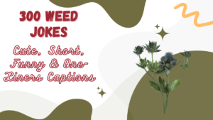 300 Best weed jokes: Short, cute, funny, Dirty & one liners for adults ...