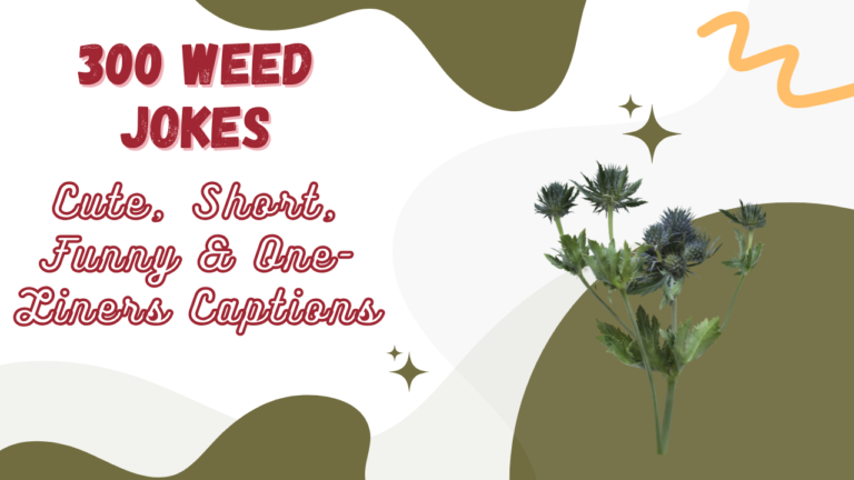 300 Best weed jokes: Short, cute, funny, Dirty & one liners for adults ...